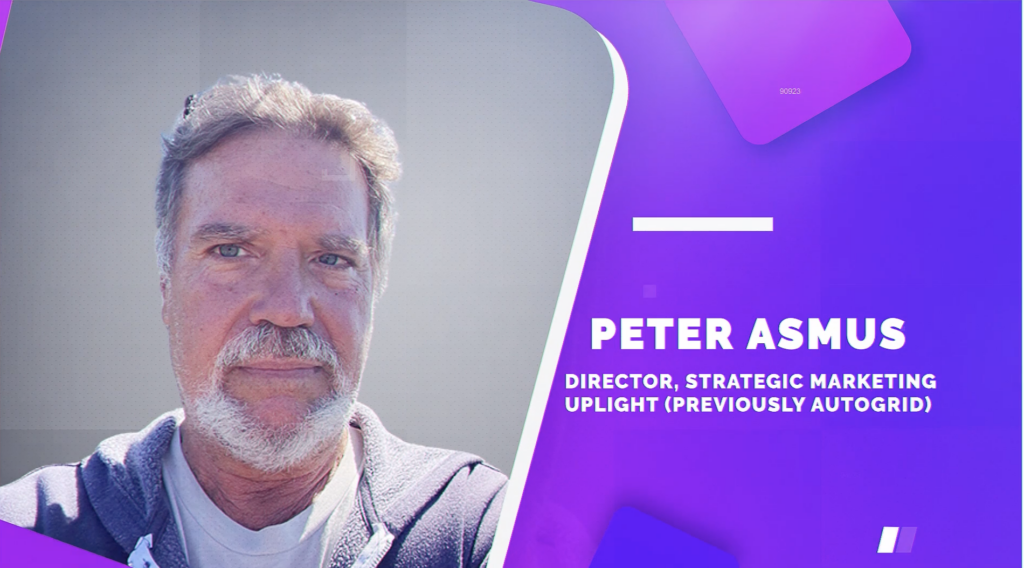 Why Virtual Power Plants are 'In' and Where They're Taking Us Next - Energy Changemakers