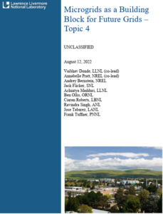 Microgrids as Building Blocks for Future Grids